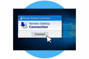 PayrollPlus | HRIS Software | Support & Maintenance